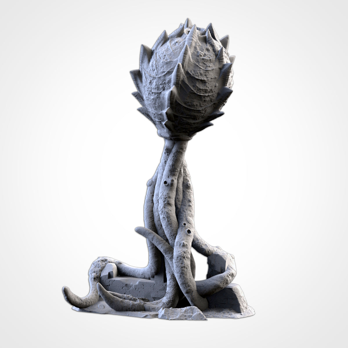 22_11_SPORES_02_1200x1200.jpg?v=1669975461